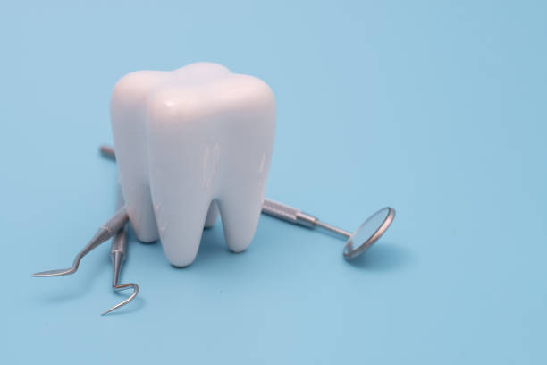 Study on Silicon Use in Bone Regeneration for Oral Surgery