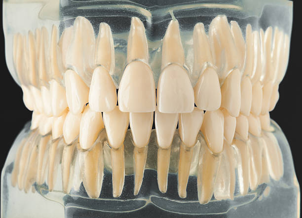 Oral viral diseases: influenza, measles, adenovirus, rubella