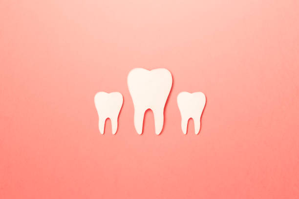 Estudio sobre la Precisión del Root ZX II en la Localización de la ...