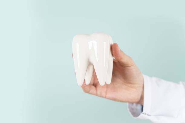 Study on Apical Debris in Flattened Root Canals Post Biomechanical ...