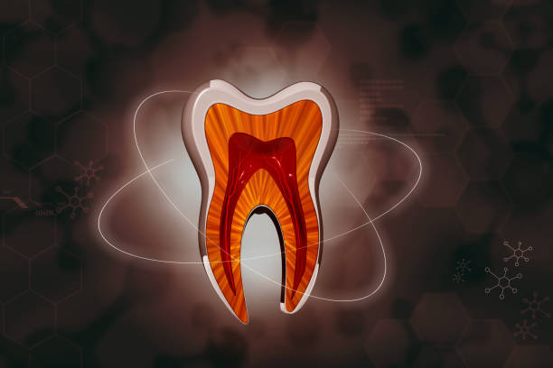 Study on Root Canal Preparation in Flat-Oval Canals Using Rotary and ...