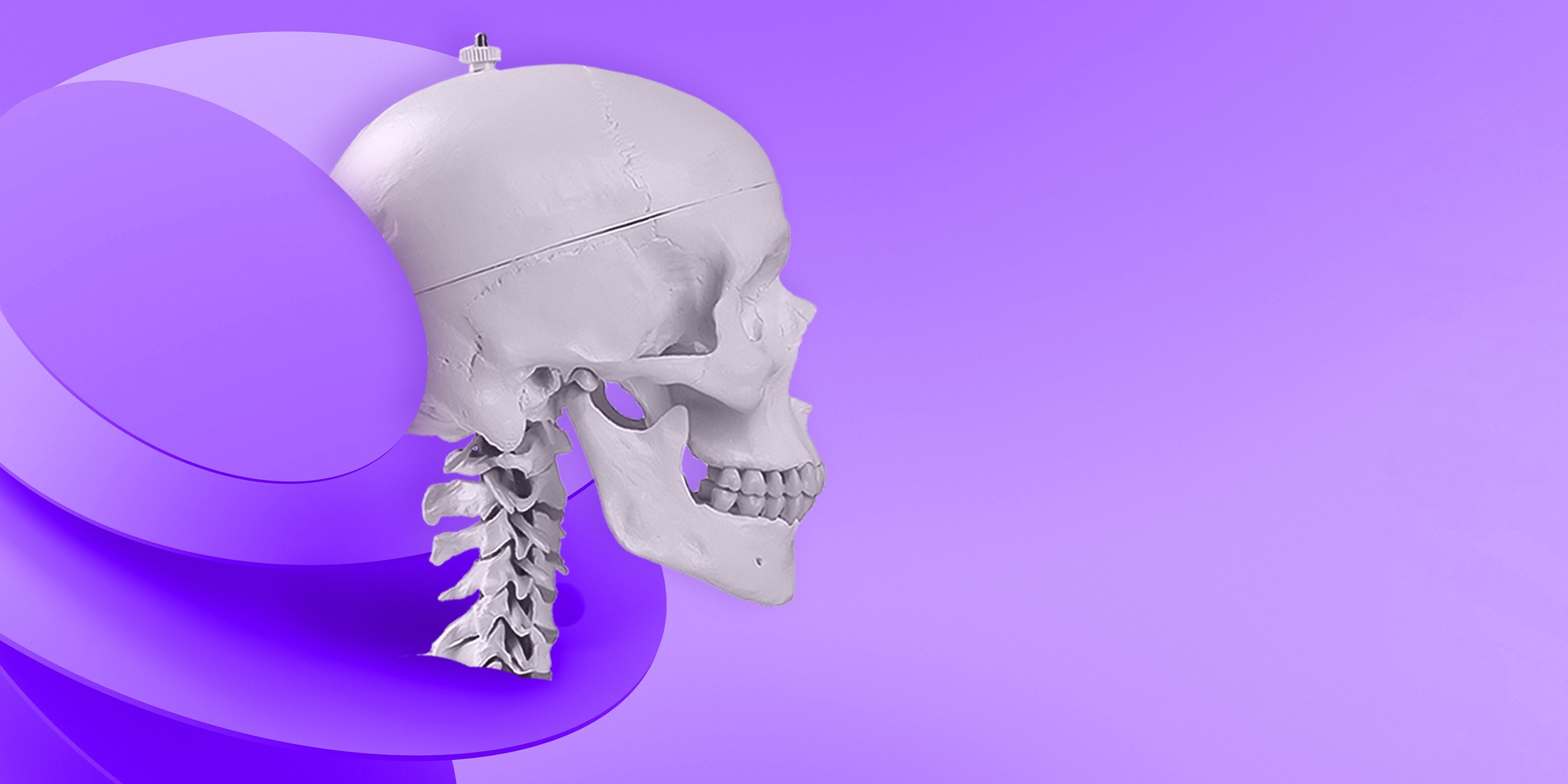 Die dynamik des kondylus auf der laterotrusionsseite