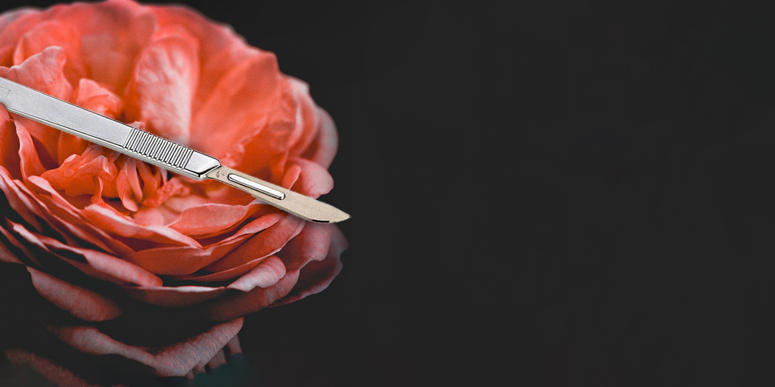 The coronally advanced flap: surgical techniques for single and ...