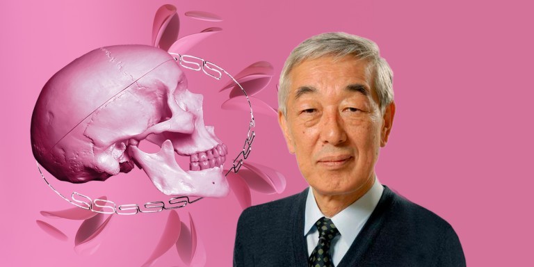 Sadao Sato occlusal concept