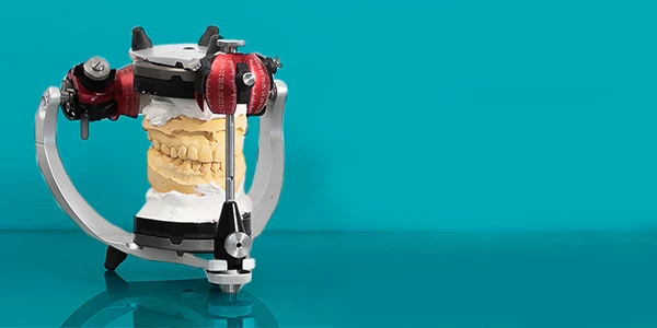 Office course: Function from the point of view of the gnathologist and ...