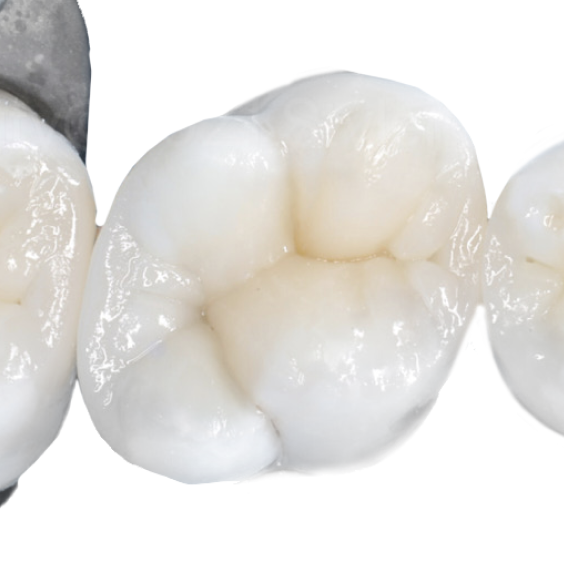 Learning in Dentistry: Orthodontics, Functional Dentistry