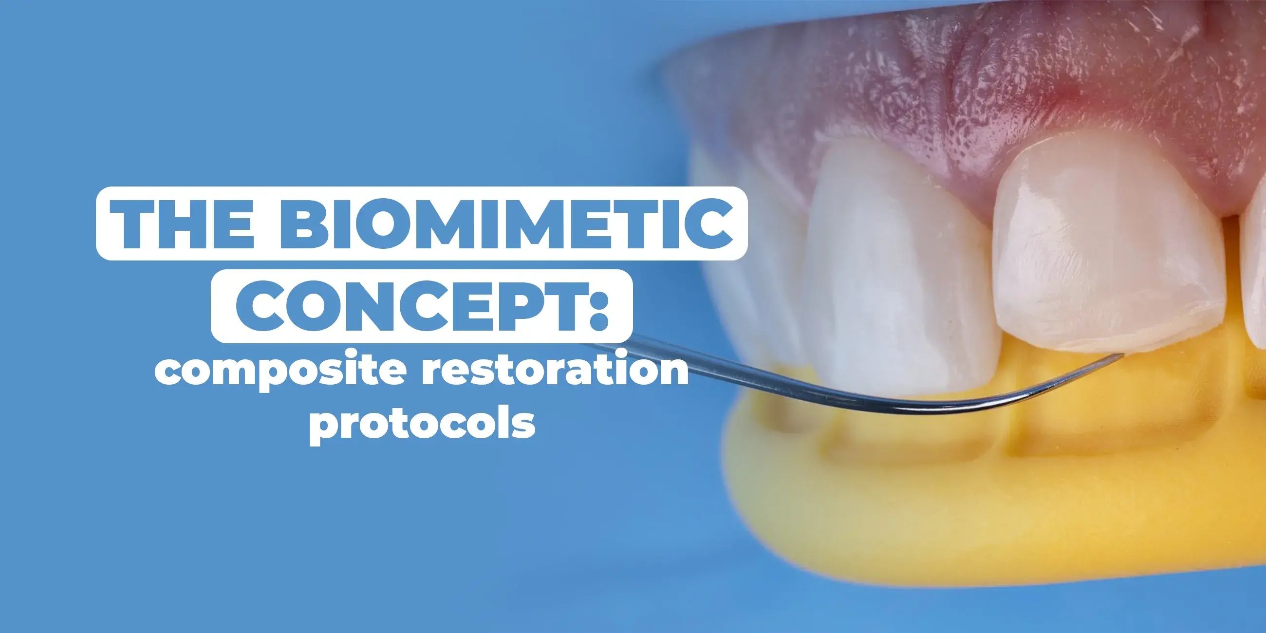 Bonding protocols, biomimetics, direct restoration, webinar