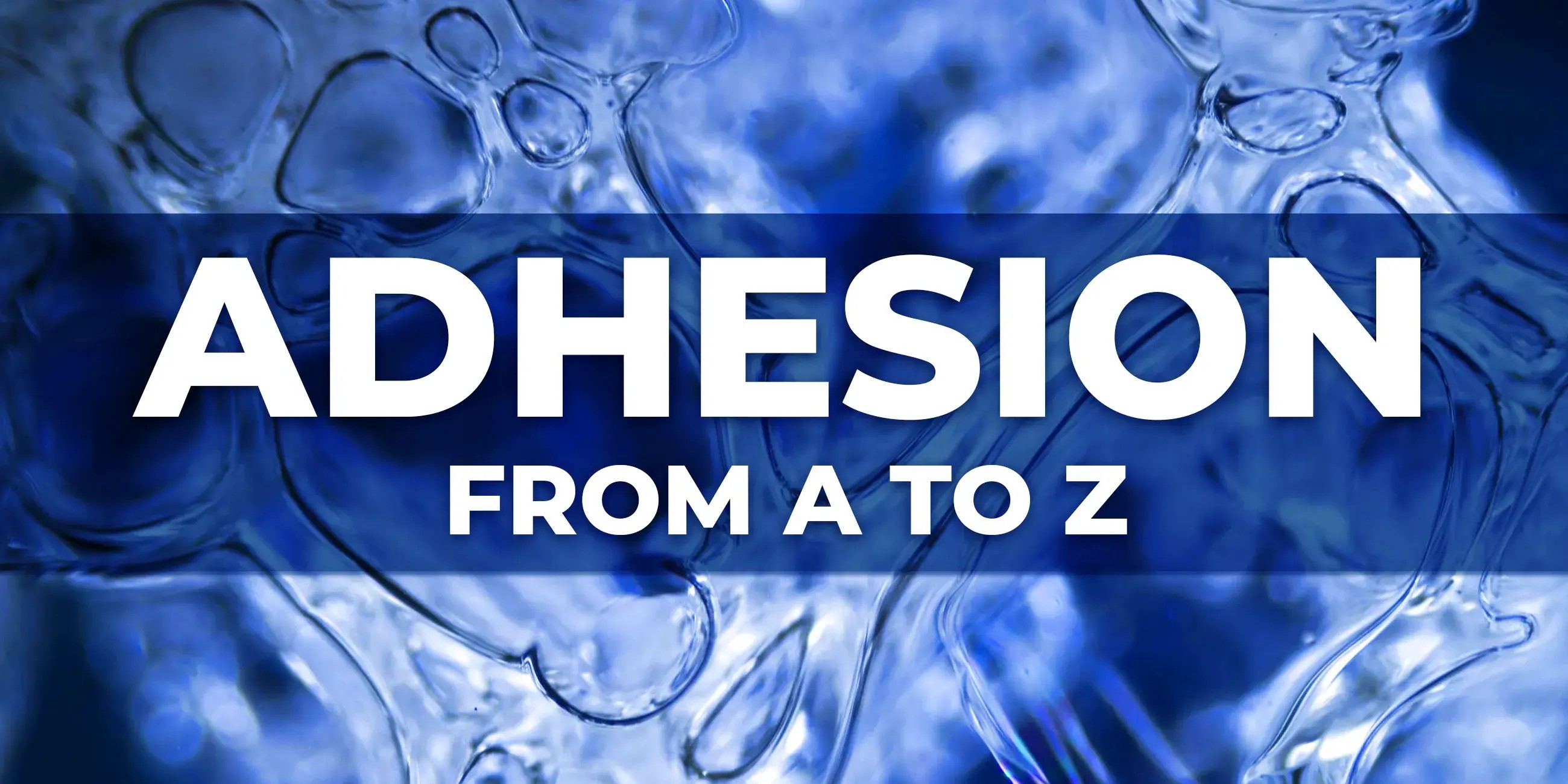 Adhesion, universal and self-etching adhesives: webinar