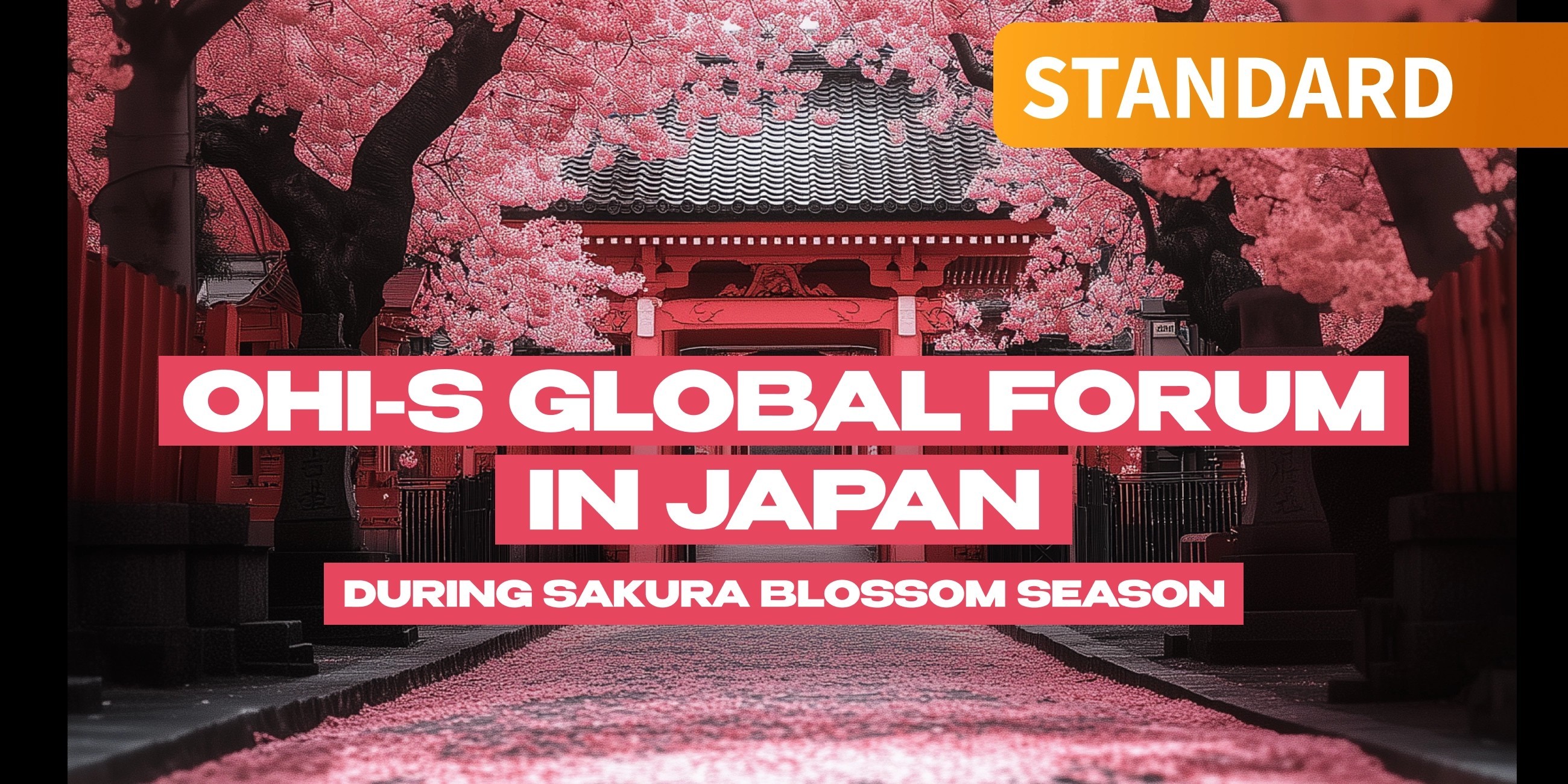 OHI-S Global Forum in Japan during sakura blossom season