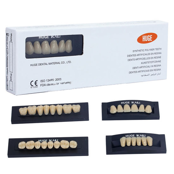 Kaili Synthetic Polymer Denture Teeth, T4/L4/30, Shade A2. 1 Full Set