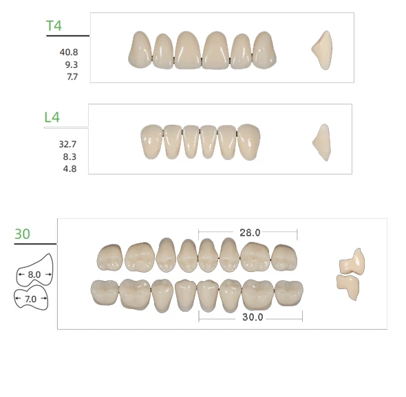 Kaili Synthetic Polymer Denture Teeth, T4/L4/30, Shade A2. 1 Full Set
