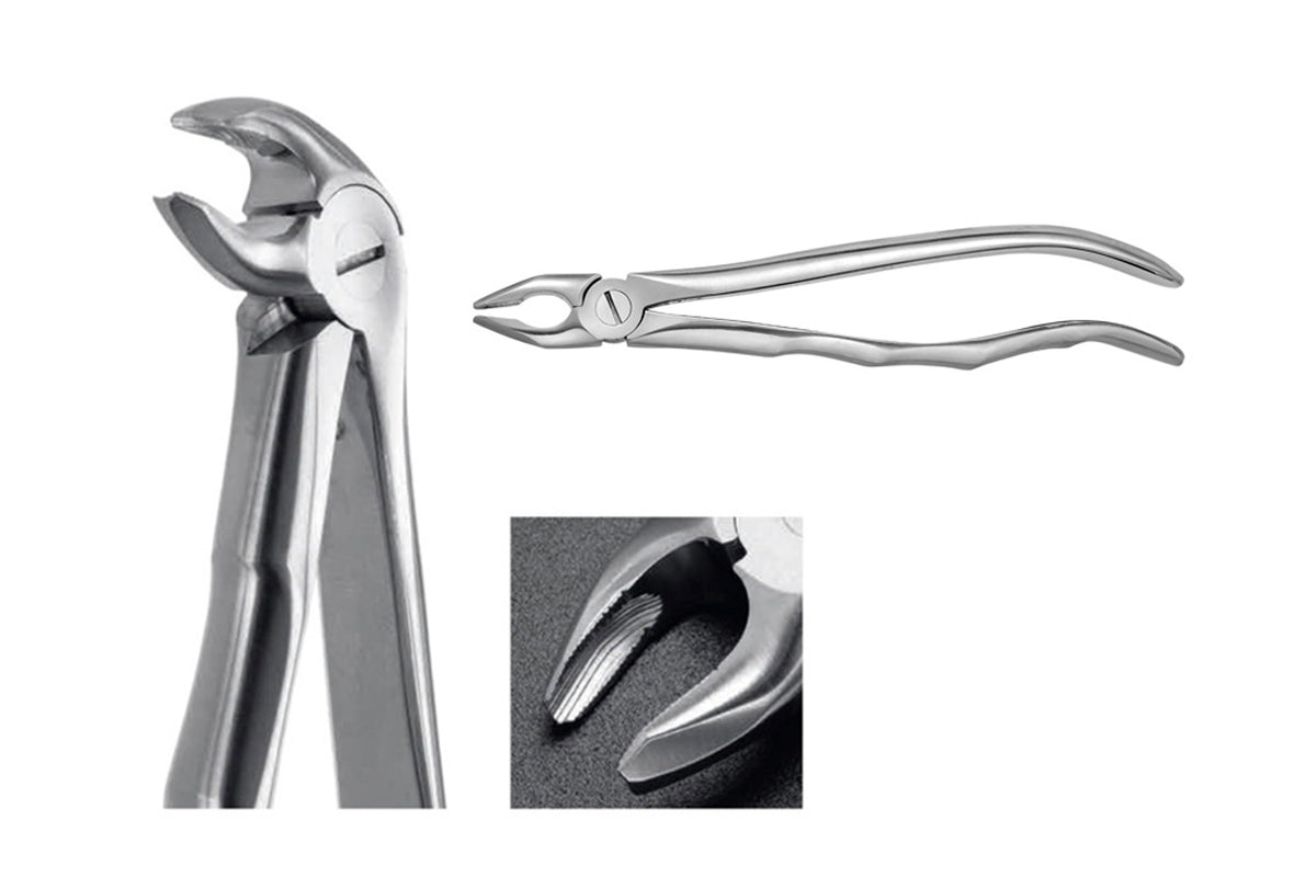 Mandibular forceps canine & premolar
